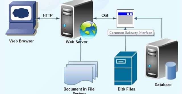 Common Gateway Interface (CGI) - How it Works, Features & Applications